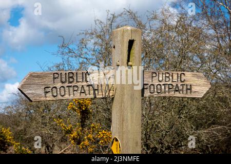 Public footpath sign indicating four directions on a weathered wooden ...