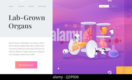 Lab-grown organs concept vector illustration Stock Vector Image & Art ...
