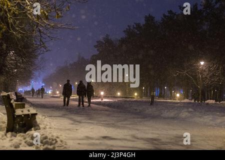 Park alley with falling snow at night Stock Photo - Alamy