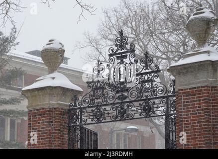 Snowy winter scene from the Harvard University campus in Cambridge ...