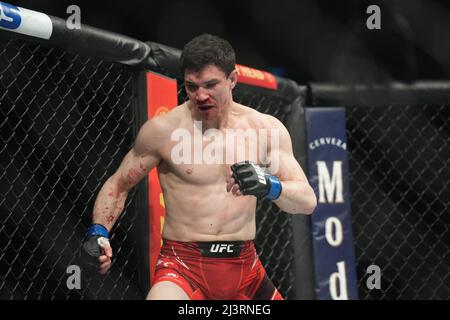 JACKSONVILLE, FL - APRIL 9: (R-L) Mickey Gall battles Mike Malott in ...