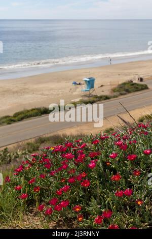 House in Malibu, Sea of Flowers, Malibu, CA, USA Stock Photo - Alamy