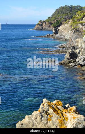 Coastal path of the peninsula of Giens Stock Photo - Alamy