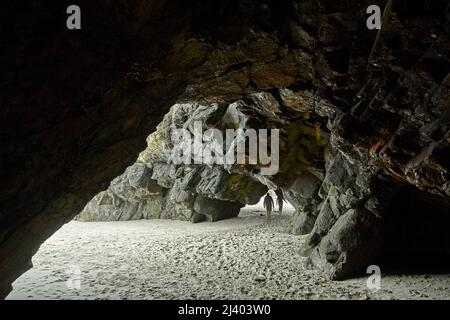 Sea Cave Doctors Point near Dunedin South Island New Zealand Stock ...