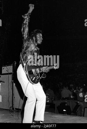 Chuck Berry in concert at Madison Square Garden in 1971 Credit: Jeffrey ...