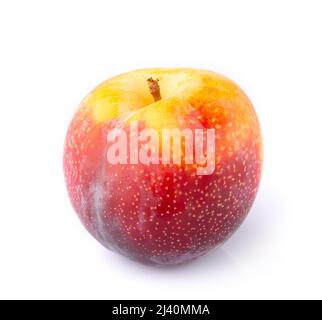 red plum cut close up Stock Photo - Alamy