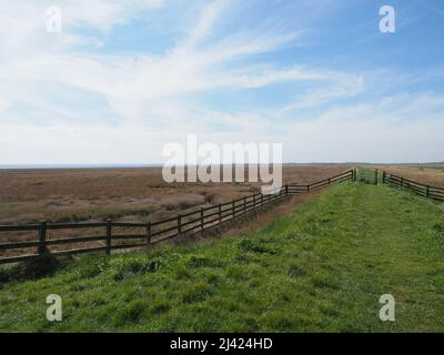 Shellness, Kent, UK. 11th Apr, 2022. Lloyds Pharmacy has rated an ...