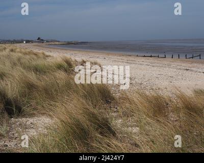 Shellness, Kent, UK. 11th Apr, 2022. Lloyds Pharmacy has rated an ...