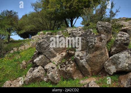 View of the Big Jupta the Golan Heights, pit crater in Odem Forest ...