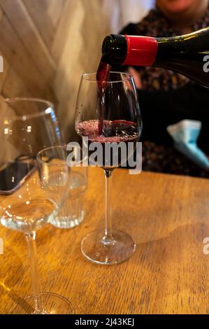 Pouring of dry Italian primitivo red wine in glass in Italian cantina ...