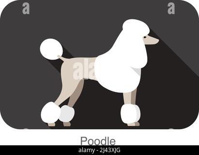 Poodle standing and watching, side view cartoon, vector illustration ...