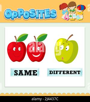 Opposite English words with same and different illustration Stock ...