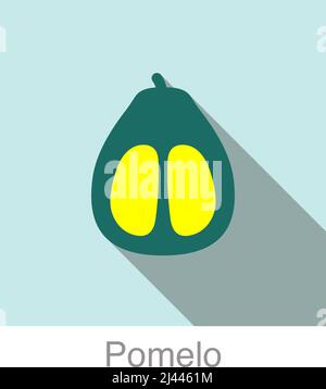 Pomelo fruit sketch isolated icon. Vector botanical sketch design of ...