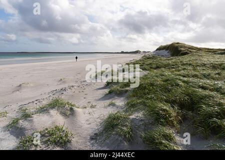 Clouds reflected on the expansive Tressness Beach at low tide, on the ...