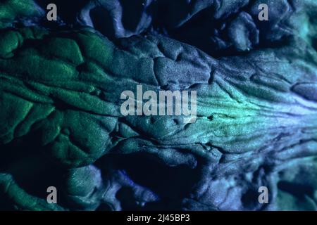 Close-up beautiful walnut shell extreme in red light. Background ...