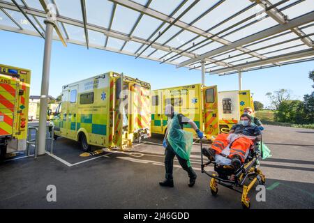 The problem of queueing ambulances due to unavailable hospital beds. An ...
