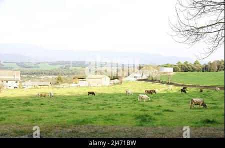 Panoramic view of Sant Martí de Centelles in Barcelona, Catalunya ...
