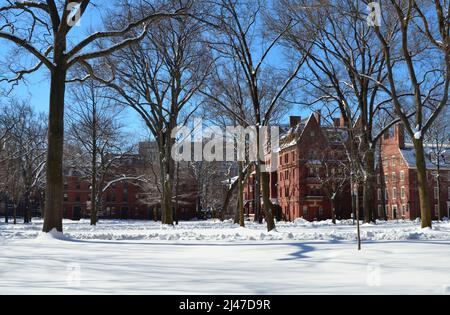 Images of historic buildings on the campus of Harvard University in ...