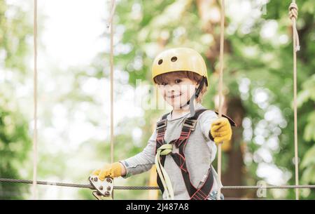 Hiker among high trees Stock Photo - Alamy