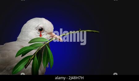 dove with a branch Stock Photo - Alamy