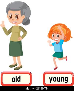 Opposite words for old and young illustration Stock Vector Image & Art ...