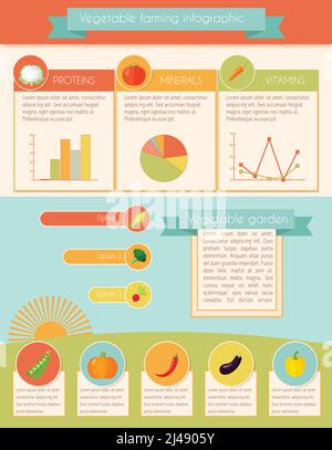 Infographic with fresh cabbage Stock Vector Image & Art - Alamy