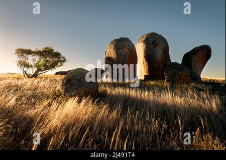 Impressive rock formations of Murphy's Haystacks on Eyre Peninsula ...