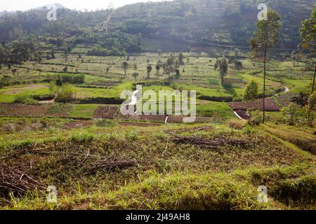 Landscape, Busengo sector, Gakenke district Stock Photo - Alamy