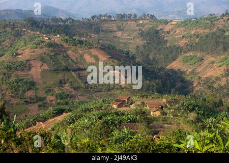 Landscape, Busengo sector, Gakenke district Stock Photo - Alamy