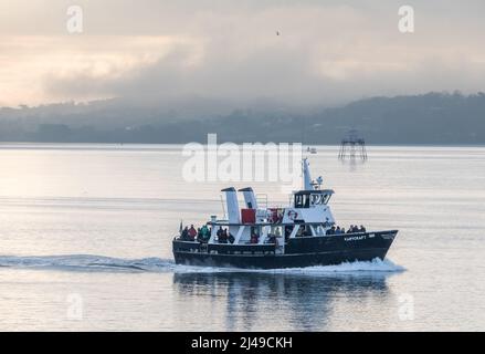 Spit Bank Lighthouse, Cobh, County Cork, Ireland Stock Photo - Alamy