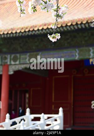 Beijing, China. 13th Apr, 2022. Photo taken on April 13, 2022 shows ...