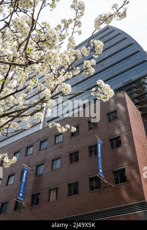 The William and Anita Newman Vertical Campus Baruch College Stock Photo ...