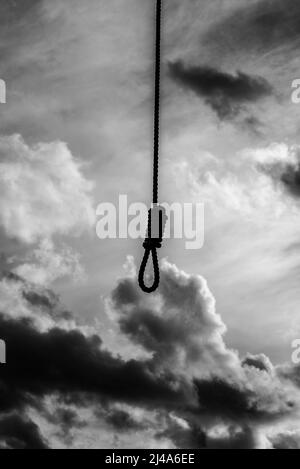 knot hangman's noose Stock Photo - Alamy
