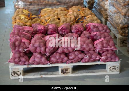 Saecke with potatoes in the potato warehouse, Prime Minister Henrik ...