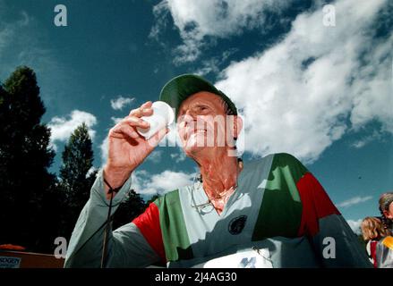 Orienteers during an orienteering competition Stock Photo - Alamy