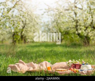Rest under a blossoming fruit tree near Leiselheim, Kaiserstuhl, Baden ...