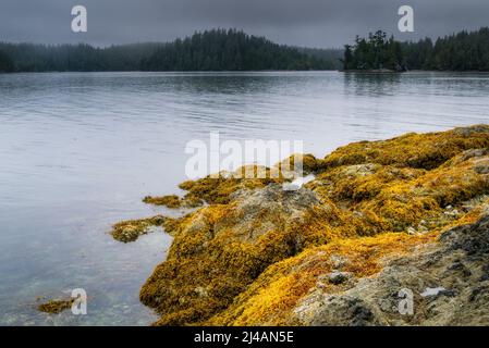 Broken Group Islands, West Coast, Vancouver Island, British Columbia ...