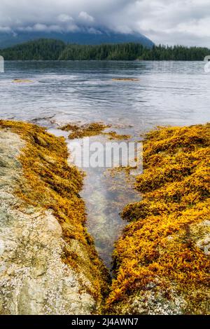 Broken Group Islands, West Coast, Vancouver Island, British Columbia ...