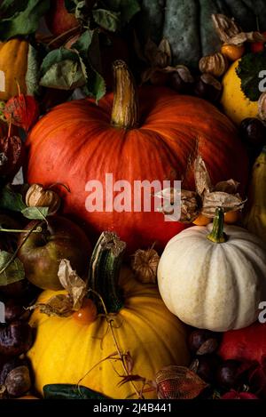 Winter Squash stacked in a multi colour display Stock Photo - Alamy