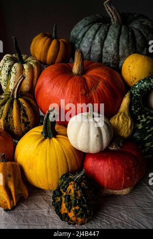Winter Squash stacked in a multi colour display Stock Photo - Alamy