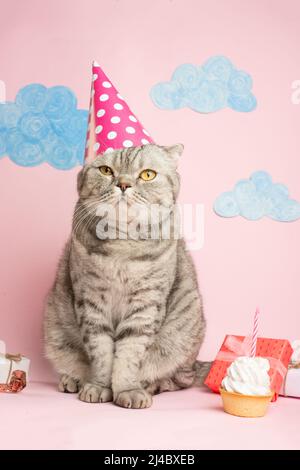 Congratulations on your birthday, a cat in a festive cap with cake.Pink ...