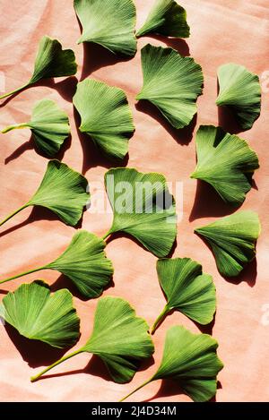 Vertical close-up of bright green weeping willow leaves dipping into ...