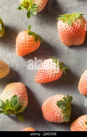 Organic Raw Pink Pineberries Strawberry in a Bowl Stock Photo - Alamy