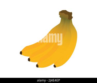 Detailed Banana Illustration With Yellow Color Stock Vector Image & Art ...