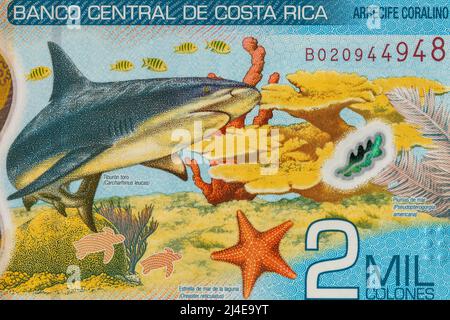 2000 Costa Rican colones bank note. Colones is the national currency of ...