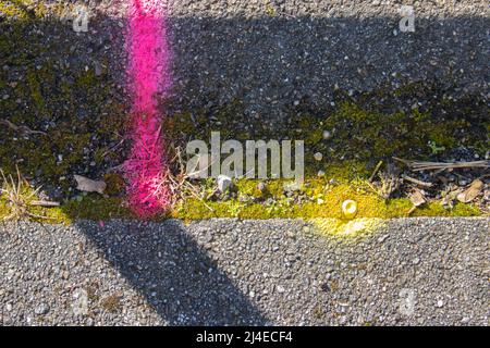 A yellow spray paint marking on public pavement with the letters TOS ...