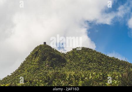 Mt Britton Lookout tower El Yunque National Forest Puerto Rico overcast ...