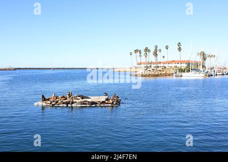 Oceanside harbor and beach scenes Stock Photo - Alamy