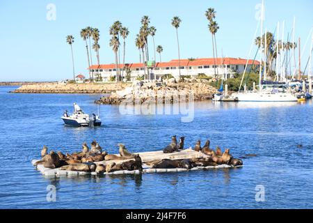 Oceanside harbor and beach scenes Stock Photo - Alamy