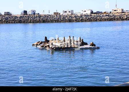 Oceanside harbor and beach scenes Stock Photo - Alamy